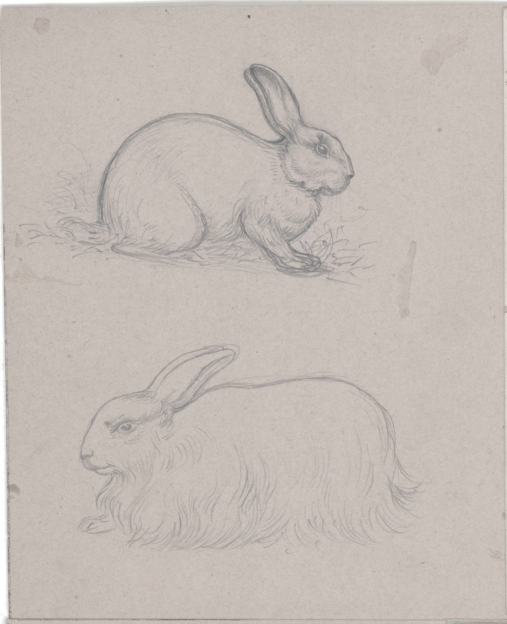 Inv_Dals_3891_1 – MNRI