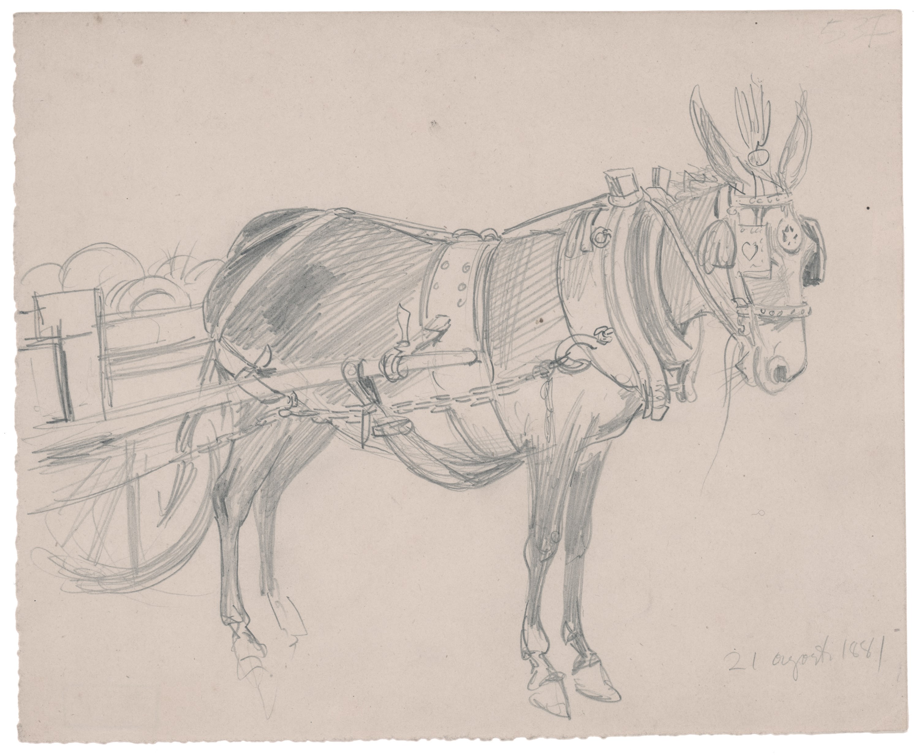 Disegno del mulo con il carro
